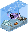 The Seven Rare Fish Tanks - Habbo